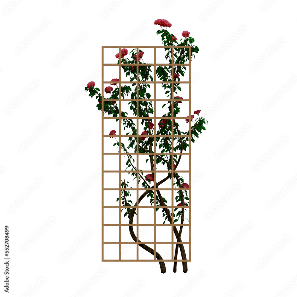 Generic Plant Tree PNG in 4K Resolution for compositing and Background ...