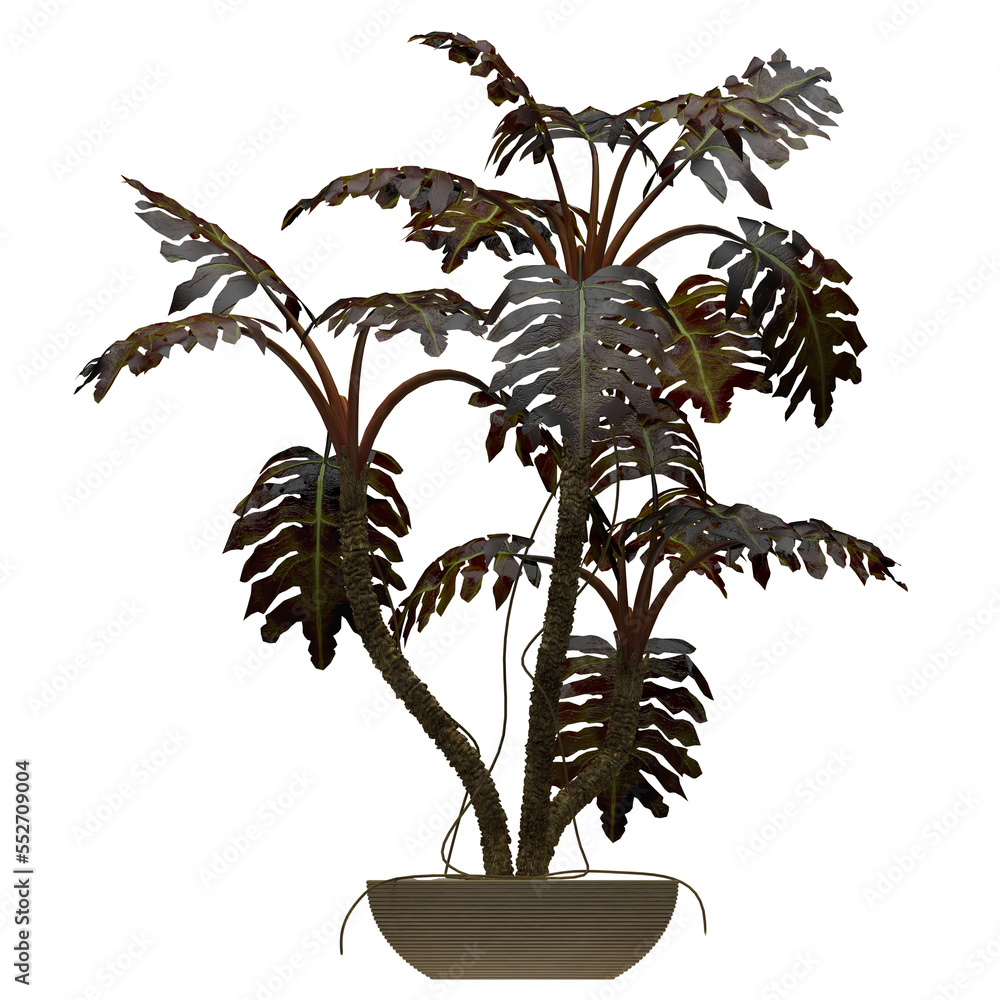 Generic Plant Tree PNG rendered in 4K Resolution for compositing and ...