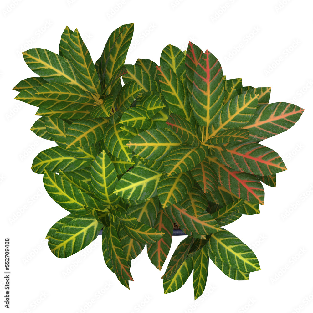 Generic Plant Tree PNG rendered in 4K Resolution for compositing and ...