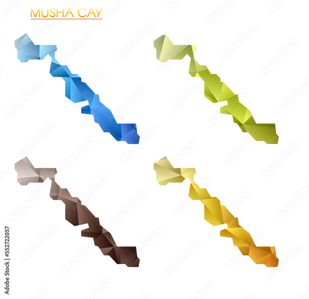 Set of vector polygonal maps of Musha Cay. Bright gradient map of ...