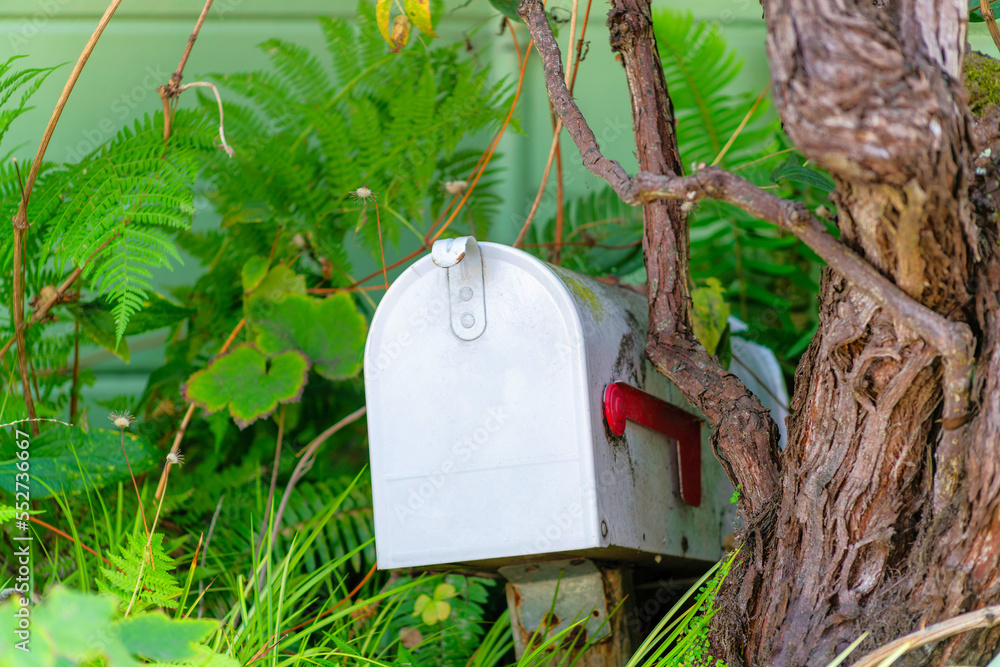 White mail box hidden in a suburban garden in the front yard of house ...