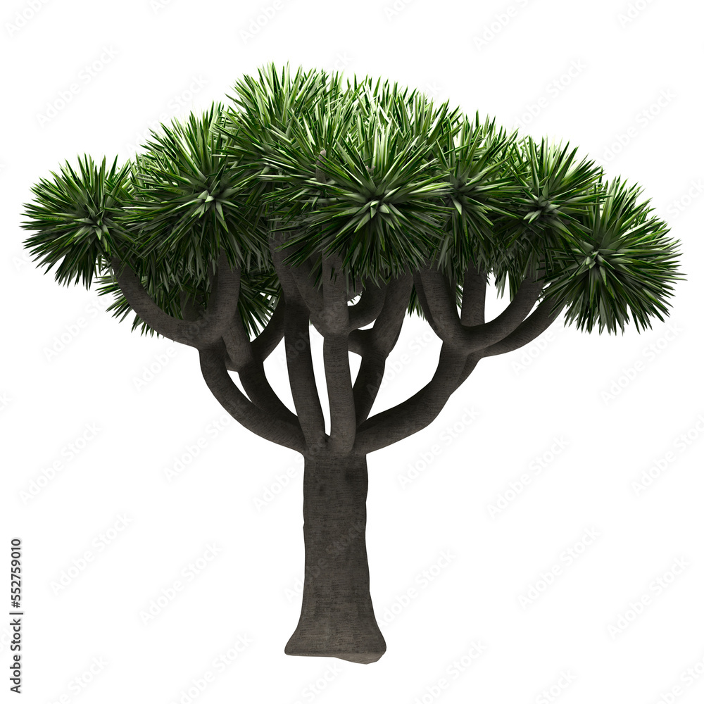 Generic Plant Tree PNG rendered in 4K Resolution for compositing and ...