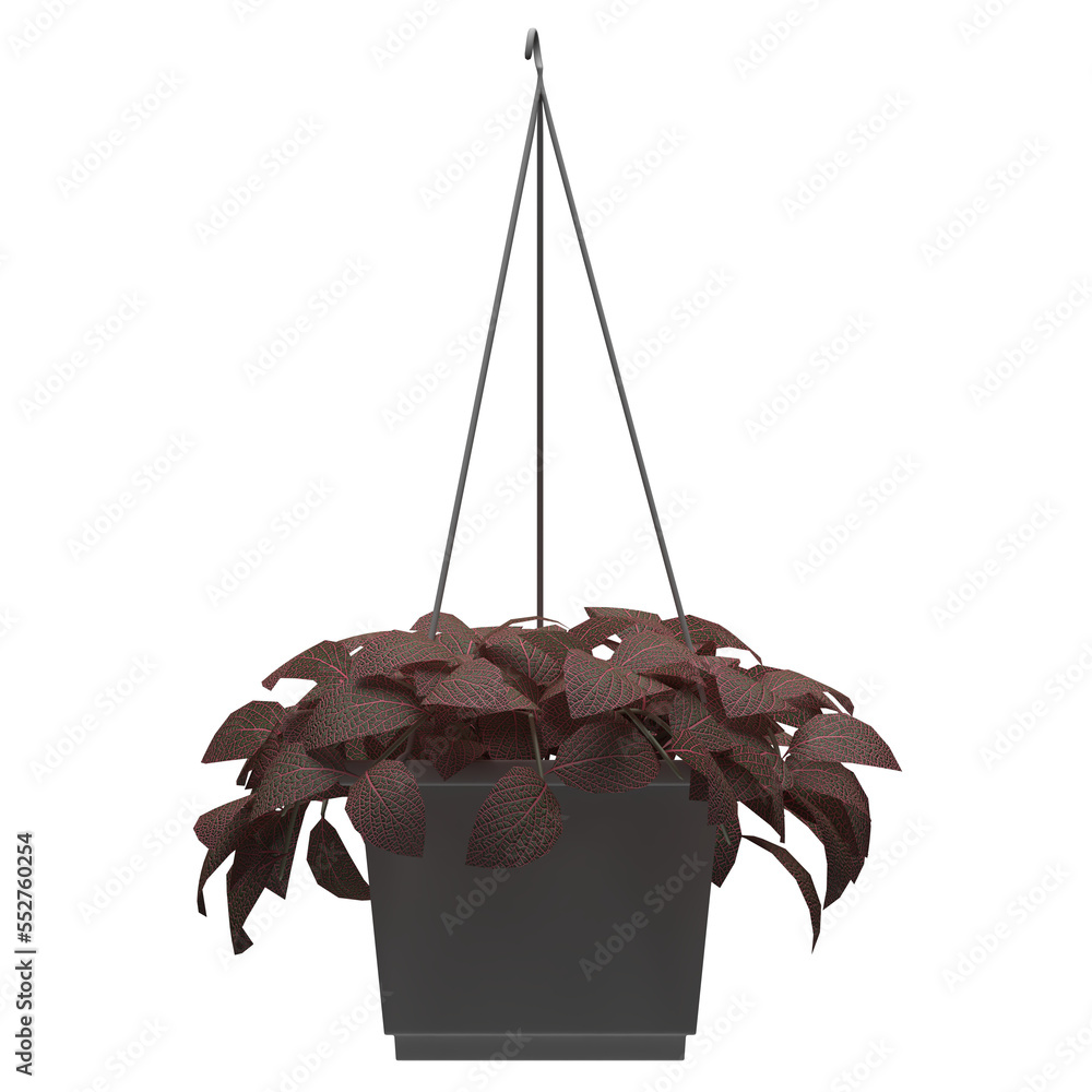 Generic Plant Tree PNG rendered in 4K Resolution for compositing and ...