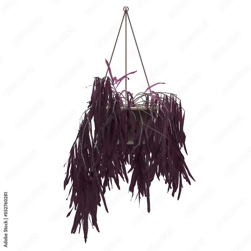 Generic Plant Tree PNG rendered in 4K Resolution for compositing and ...