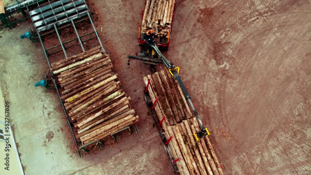 Loader loads logs in production. View from the top of the work of a ...