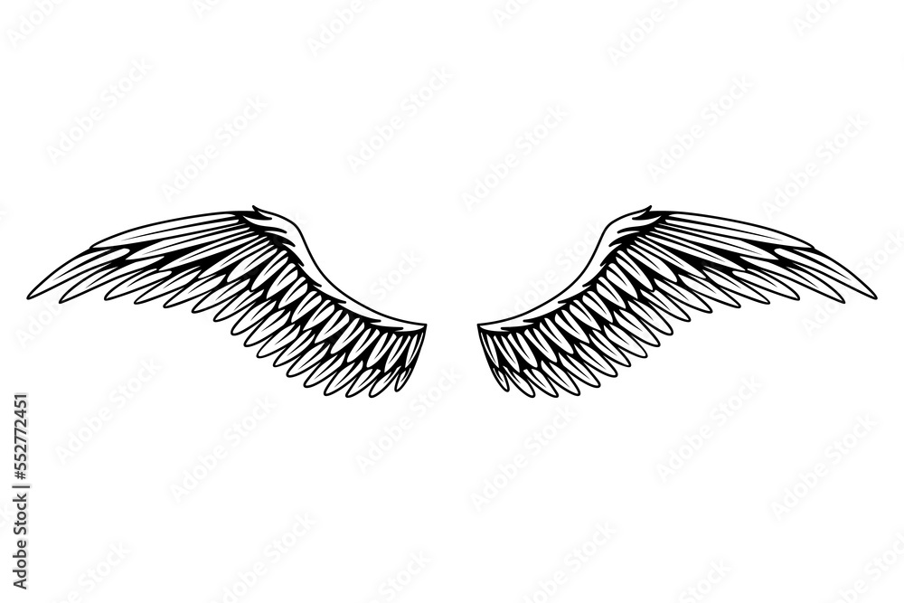 Vintage heraldic wings sketch. Monochrome stylized birds wings. Hand ...
