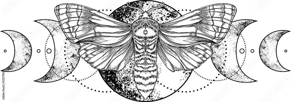 Black and white moth over sacred geometry sign, isolated vector ...