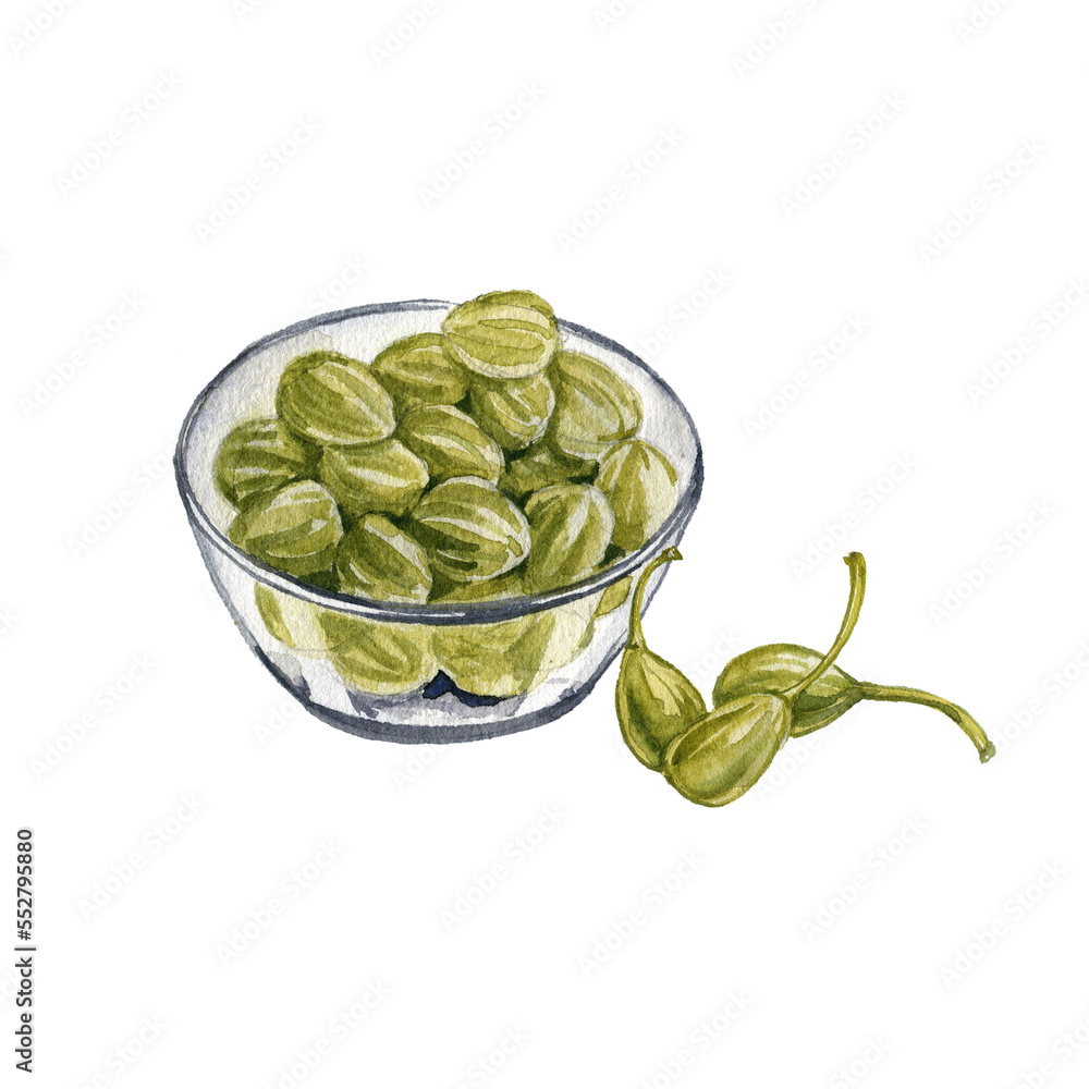 watercolor drawing capparis in glass bowl at white background, green ...