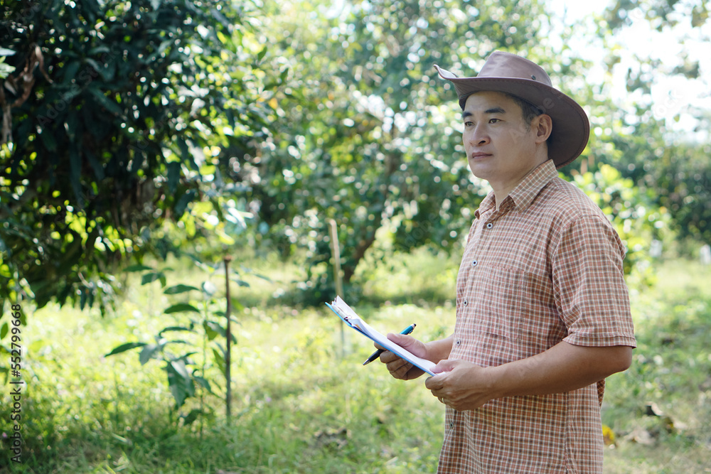 Portrait of Asian male botanist is inspecting and recording about tree ...