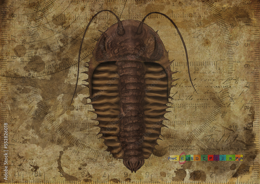 Devonian Trilobite Extinct Arthropod Variant Art Study Old Paper Poster Digital Art By ...