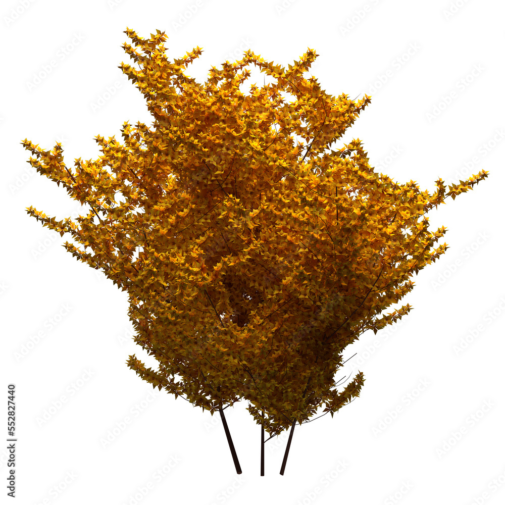 Generic Plant Tree PNG rendered in 4K Resolution for compositing and ...