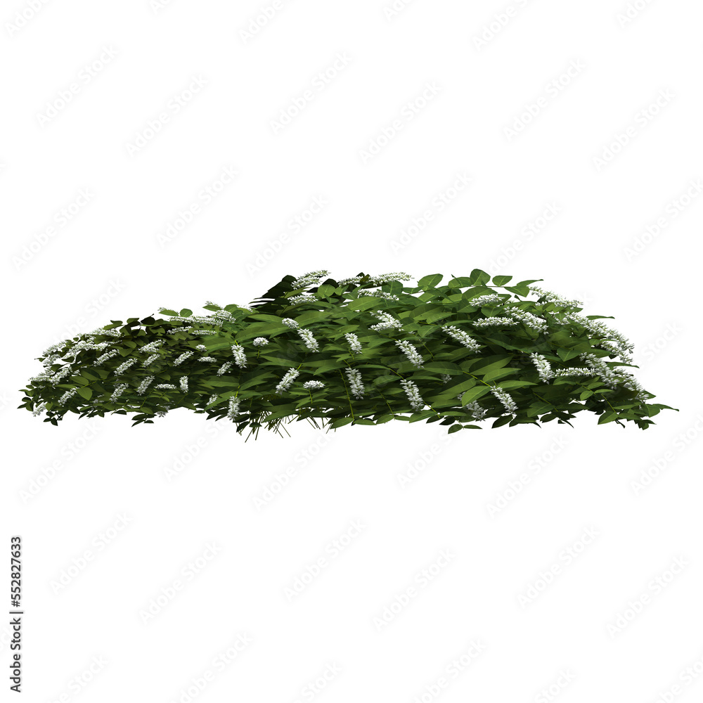 Generic Plant Tree PNG rendered in 4K Resolution for compositing and ...