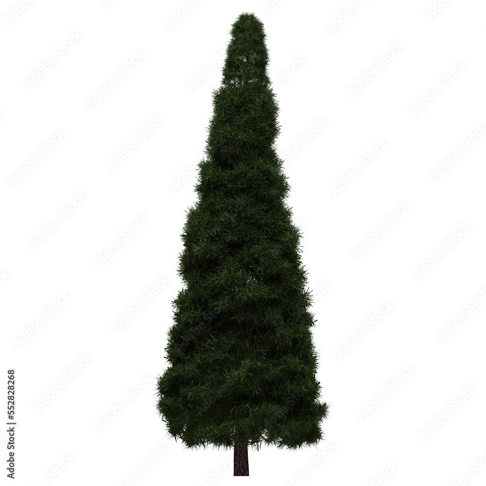 Generic Plant Tree PNG rendered in 4K Resolution for compositing and ...