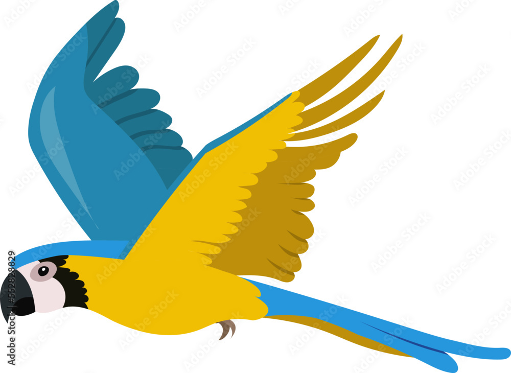 Colorful vector illustration of flying blue Ara parrot. Cartoon Ara ...