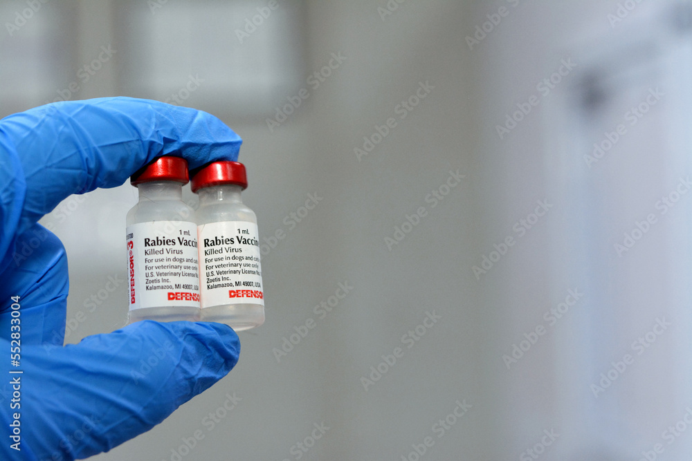 Cairo, Egypt, December 8 2022: Rabis vaccine killed virus for use of ...
