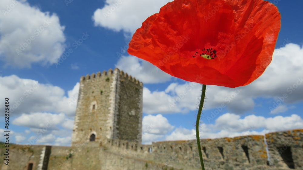 Ruinas do Castelo medieval fortificado de Portel em Portugal, muralhas ...