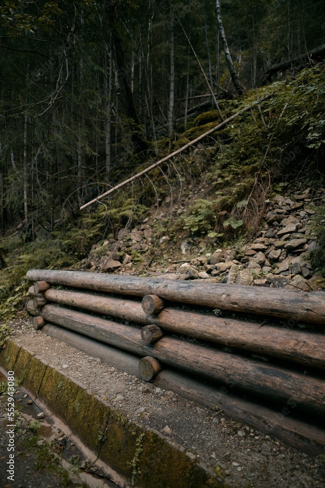Wooden retaining wall to prevent soil from falling in the national park ...