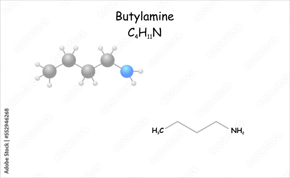Stylized 2d Molecule Model Structural Formula Of Butylamine Stock