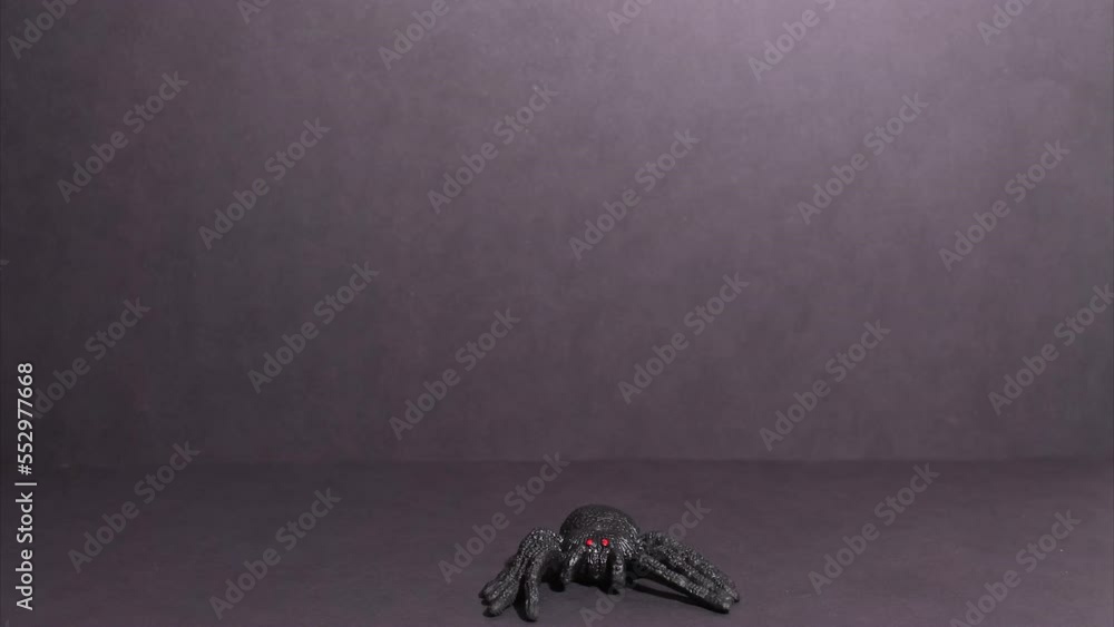 Stop motion animation in the style of Halloween or Christmas black ...