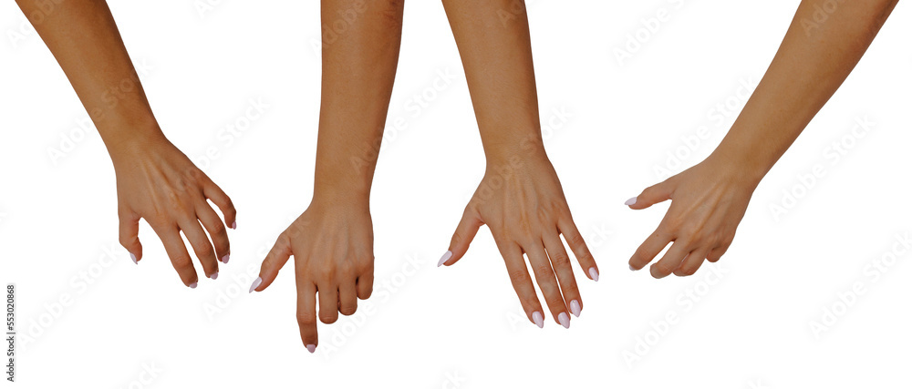 Top view of different female hands on a transparent background, cut out ...