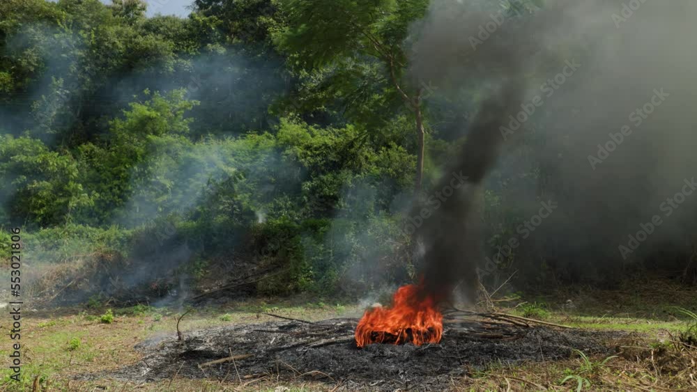 Destruction of jungle forest for farmland. Fire and smoke in the forest ...