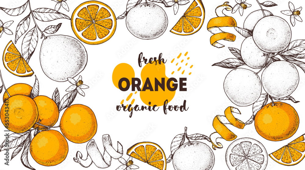 Orange fruit hand drawn design. Vector illustration. Design, package ...
