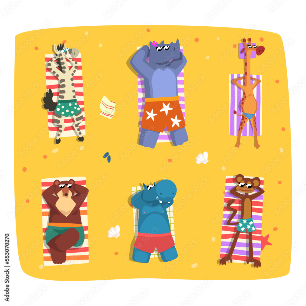 Animals Sunbathing on Beach Lying on Blanket on Sand Top View Vector ...