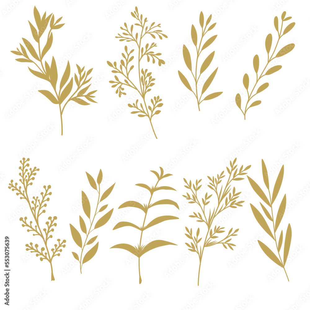 Branches sketch set. Hand drawn graphics of plants. Vector illustration ...