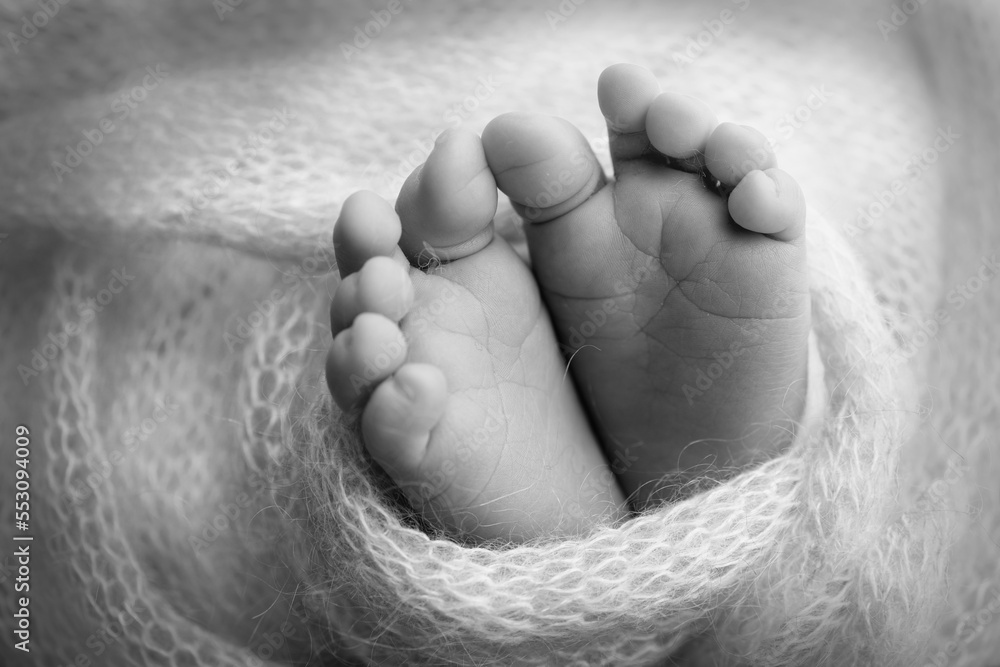 Soft feet of a newborn in a woolen blanket Close-up of toes, heels and ...