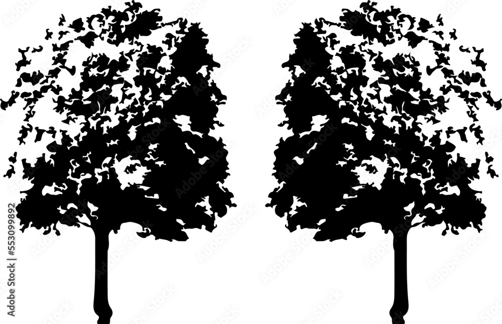 Black trees set isolated on white background. Tree silhouettes. Design ...