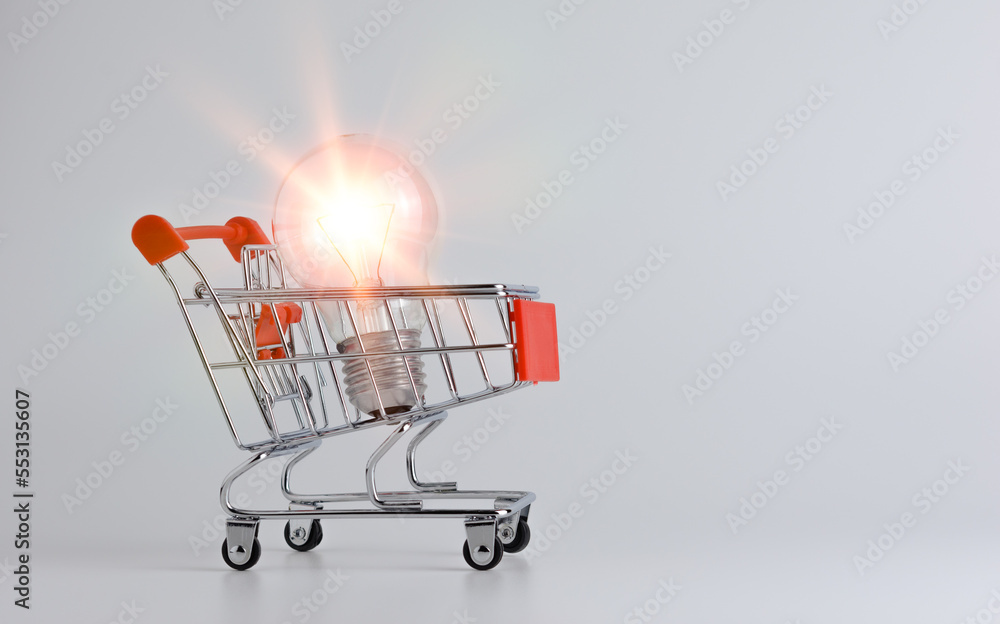 light bulb on shopping cart on white background with text space, E ...