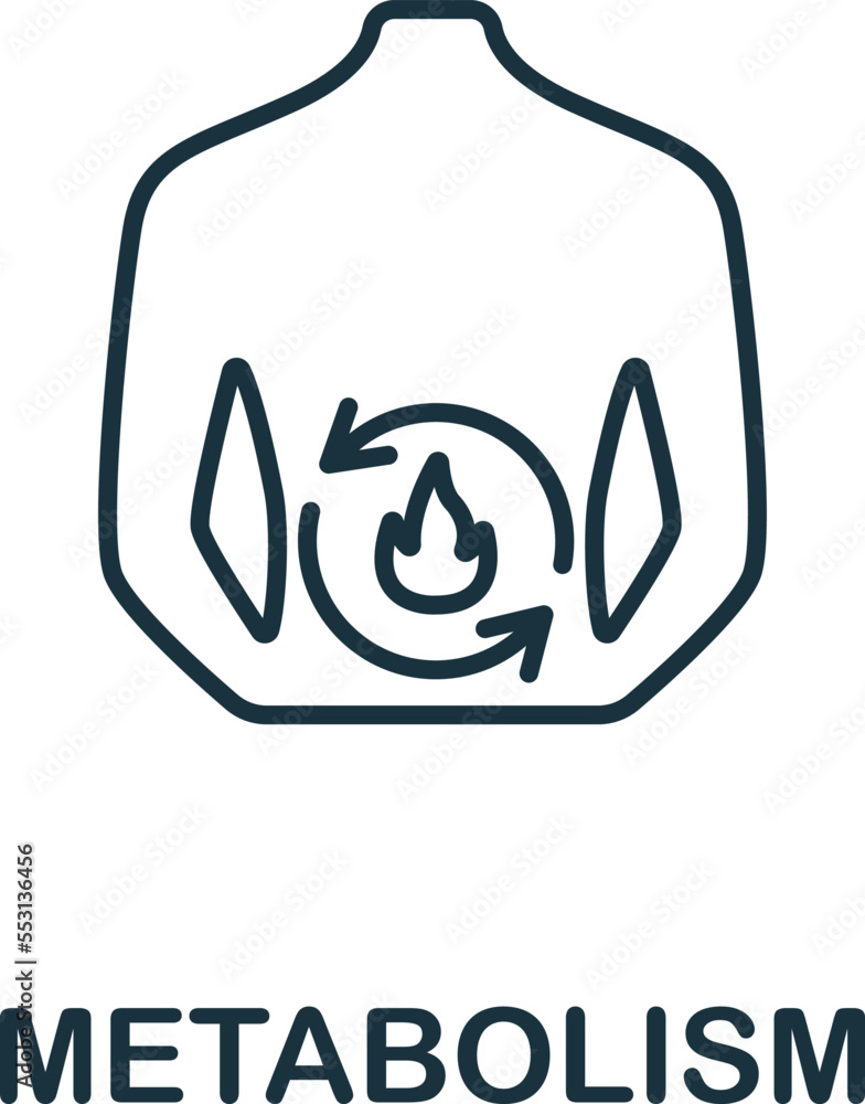 Metabolism icon. Monochrome simple Detox Diet icon for templates, web ...