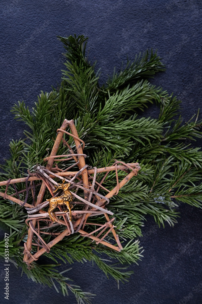 amulet deer and pentacle star, fir tree branches on dark abstract ...