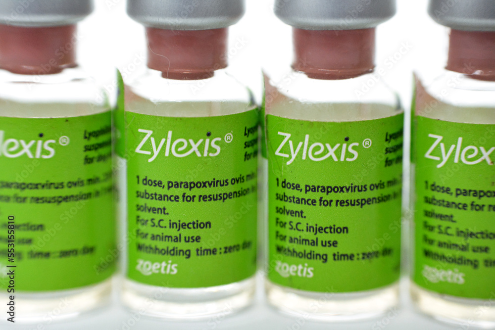 Cairo, Egypt, December 8 2022: Zylexis vaccine for prevention and ...