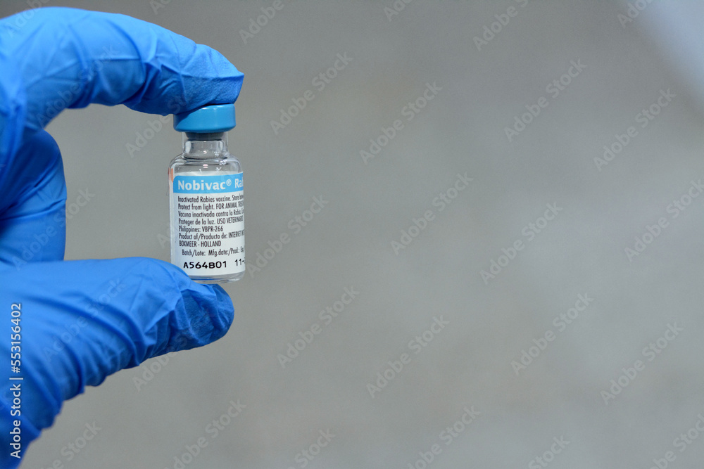 Cairo, Egypt, December 8 2022: Nobivac Rabies stable inactivated ...