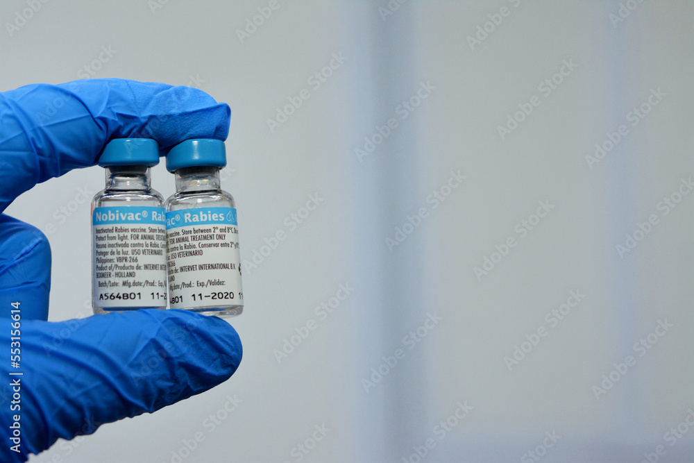 Cairo, Egypt, December 8 2022: Nobivac Rabies stable inactivated ...