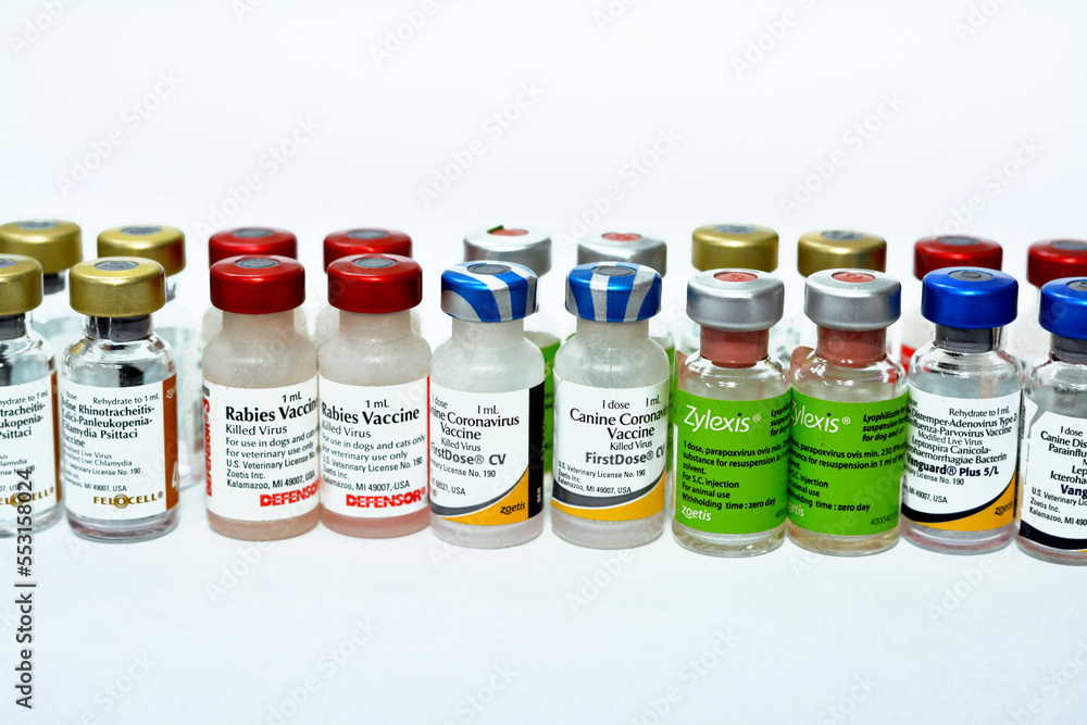 Cairo, Egypt, December 8 2022: Background of various and different ...