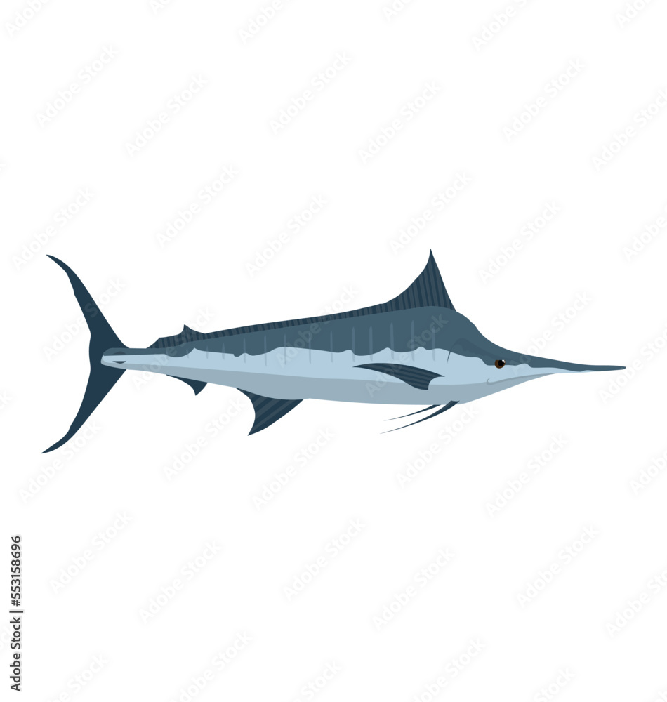 Atlantic blue marlin seen in side view - Flat vector Stock Vector ...