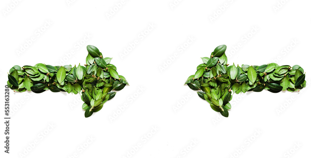 two pointing or directional arrows made from green leaves. isolated on ...