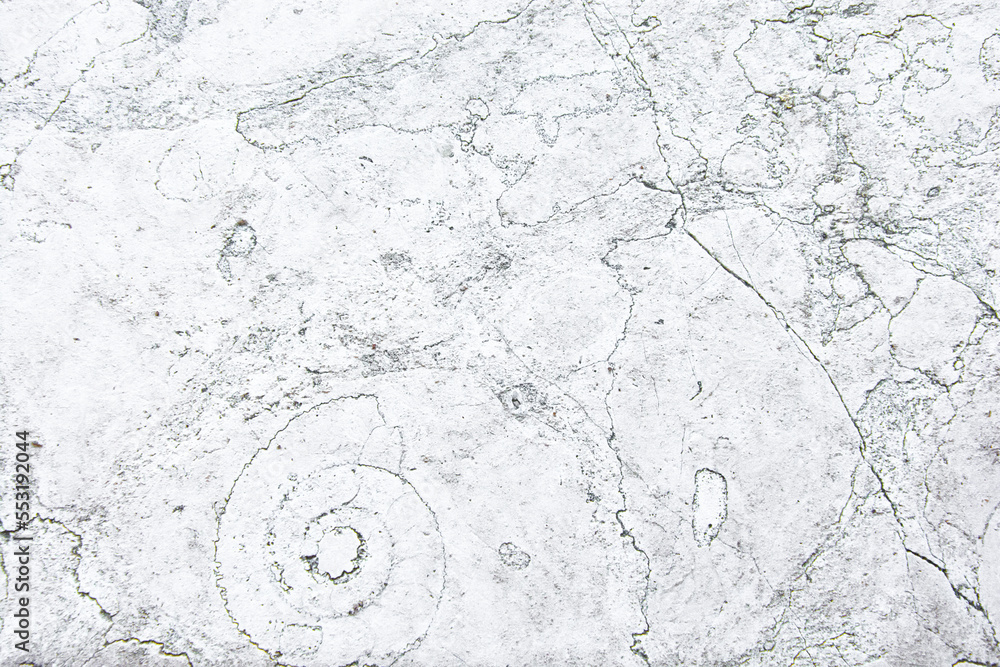 background fossil Stock Illustration | Adobe Stock