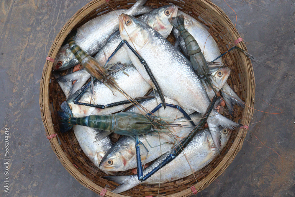 Giant tiger prawn and ilish fish Stock Photo | Adobe Stock