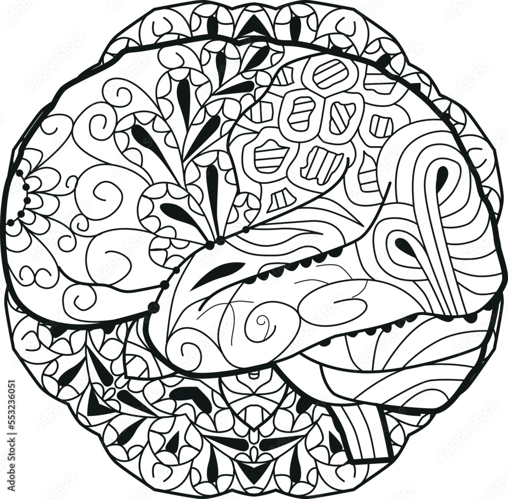 Brain image in zentangle style on mandala for coloring Stock Vector ...