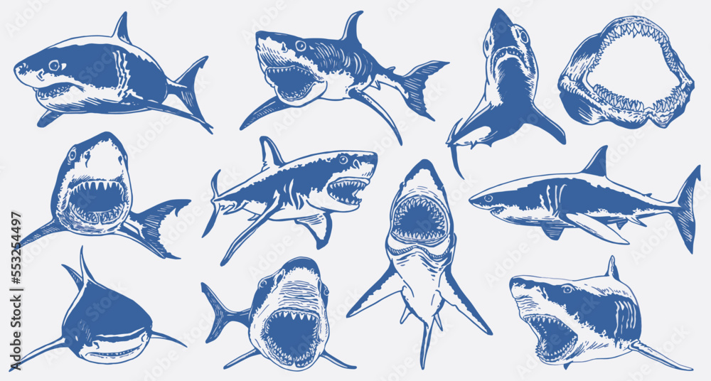Graphical set of blue sharks isolated on white background,vector color ...