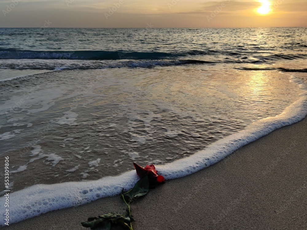 rosa sulla spiaggia con le onde e il tramonto, marina di Lizzano ...