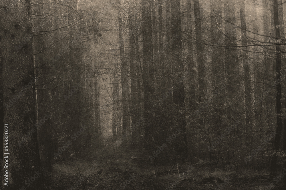 Retro Vintage Photography Beautiful Nature Landscape Hd Wallpaper ...