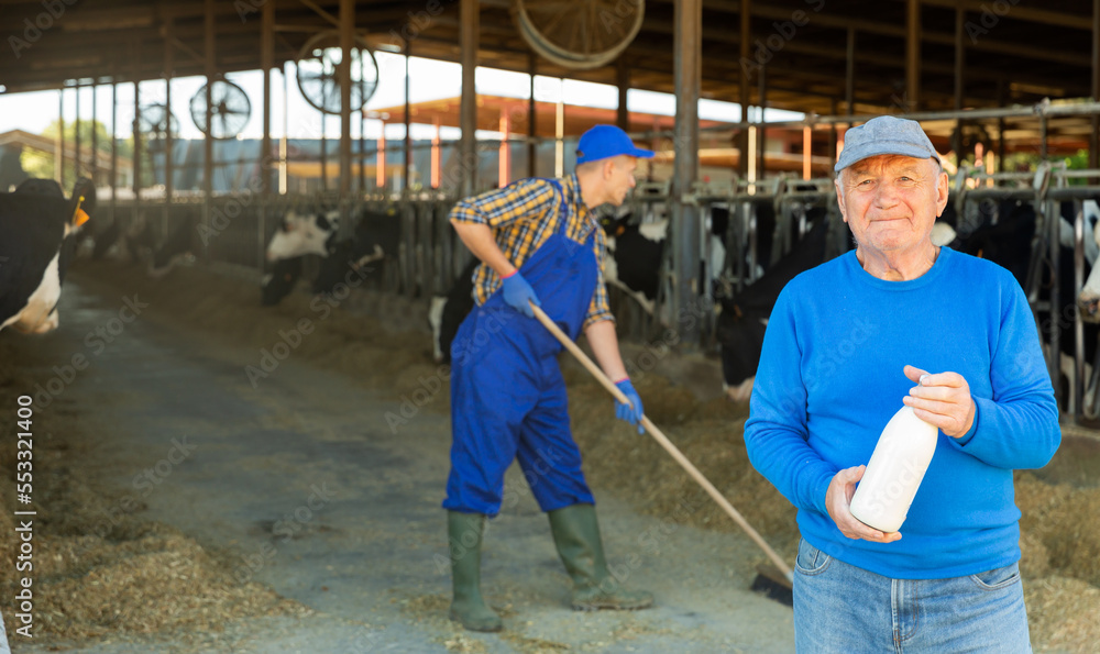 Elderly owner of cow farm with bottle of milk standing in stall on ...