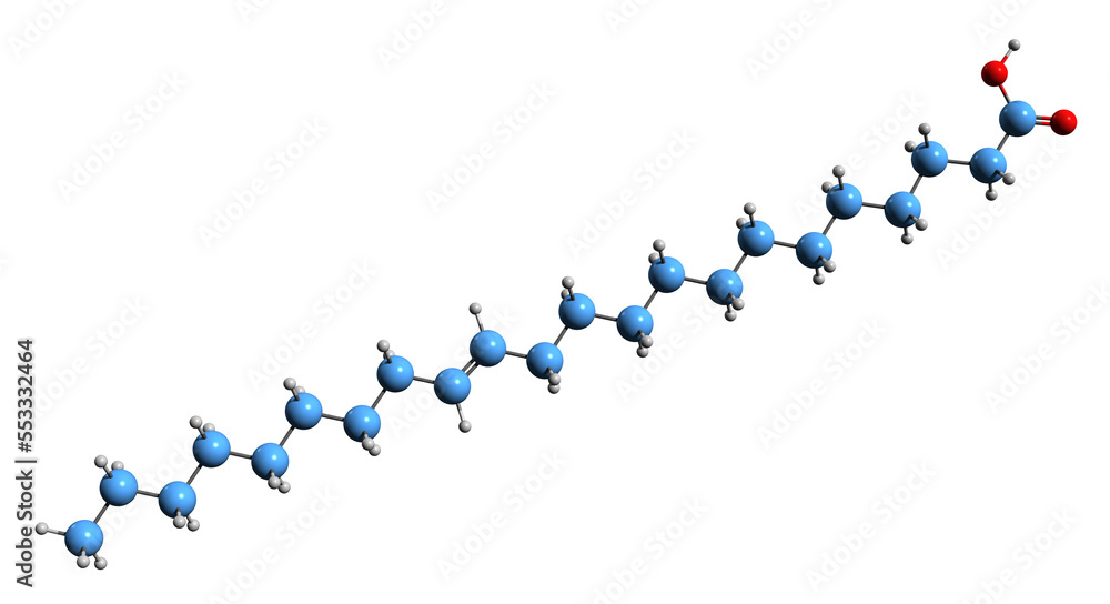3D image of Erucic acid skeletal formula - molecular chemical structure ...