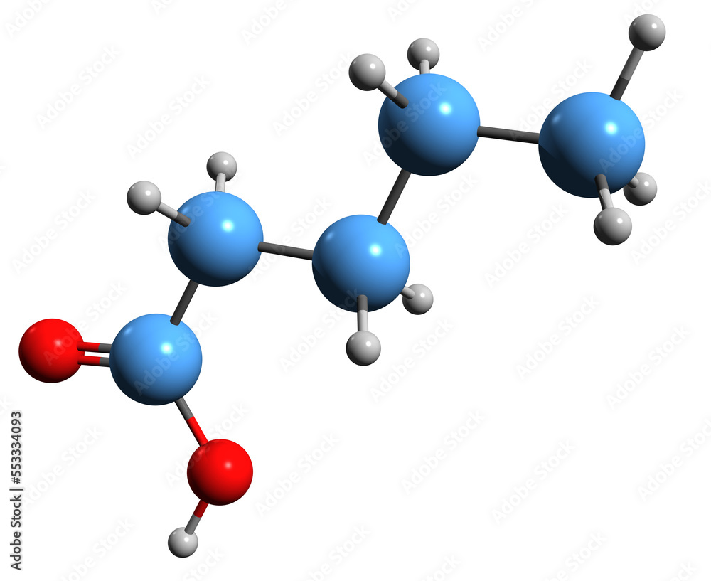 3D image of Valeric acid skeletal formula - molecular chemical ...