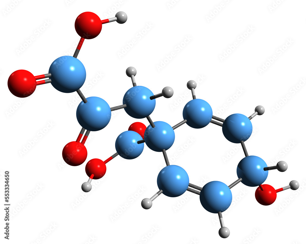 3D image of Prephenic acid skeletal formula - molecular chemical ...