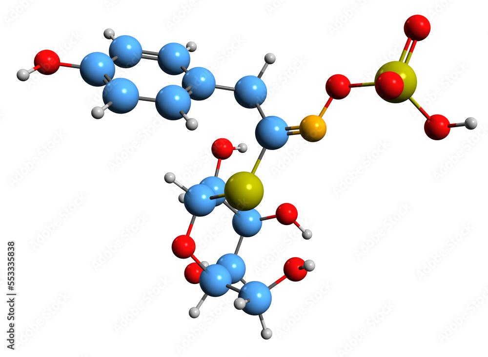 ภาพประกอบสต็อก 3D image of Sinalbin skeletal formula - molecular ...